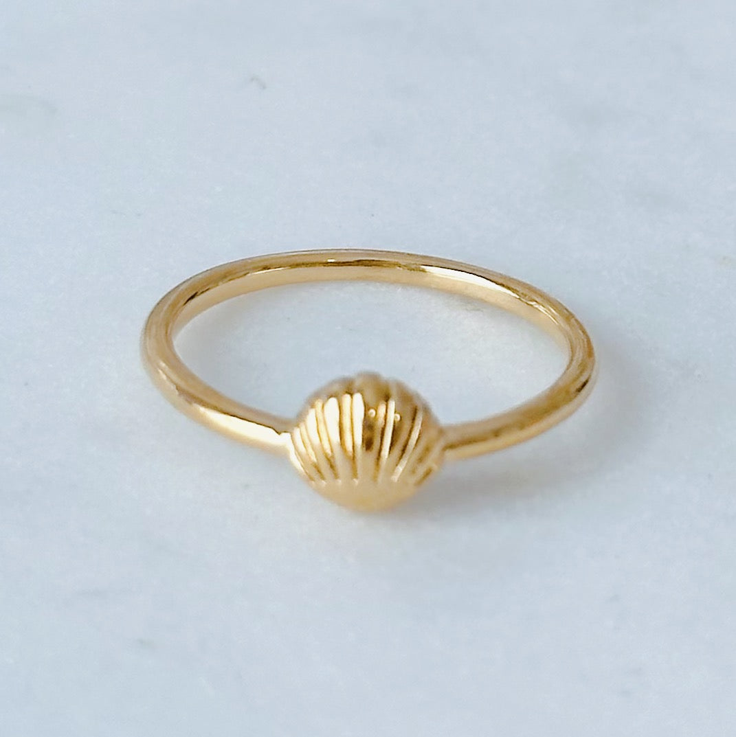 Dainty Gold Seashell Ring – Salt & June